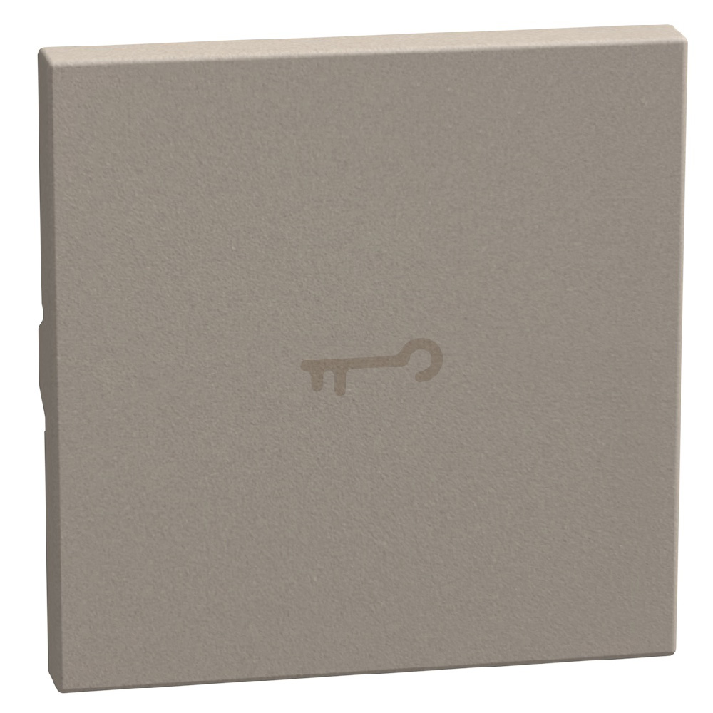 Light Now - Switch cover key 2M AX Stone - Snap fit - Matt ...
