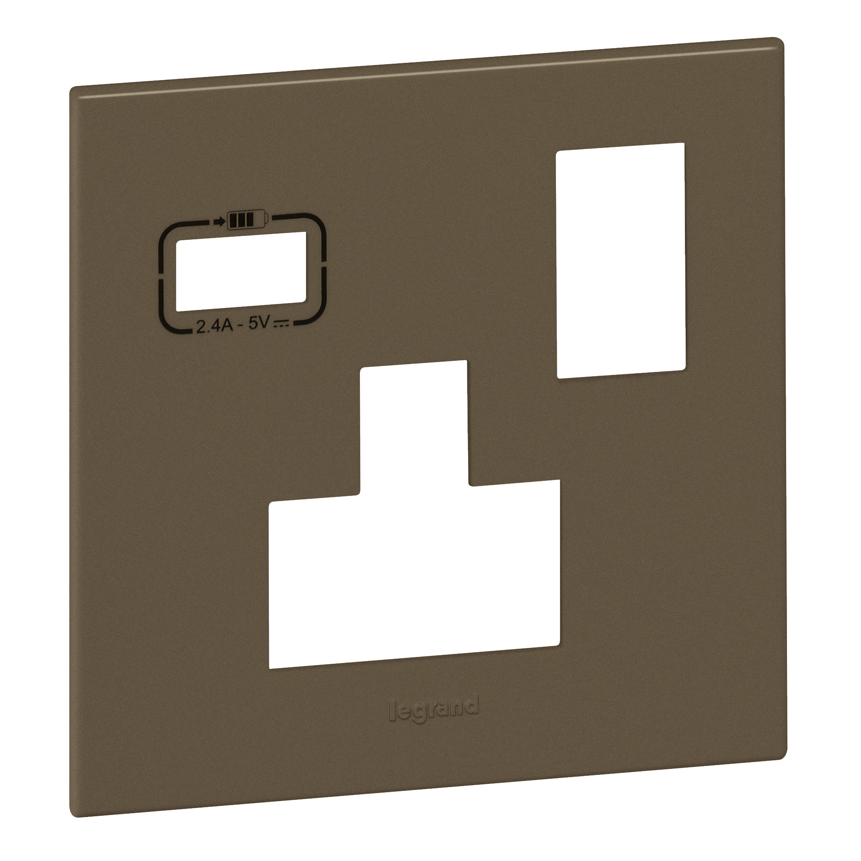 Arteor Multistandard plate switched socket - 1 gang + USB - Dark Bronze ...