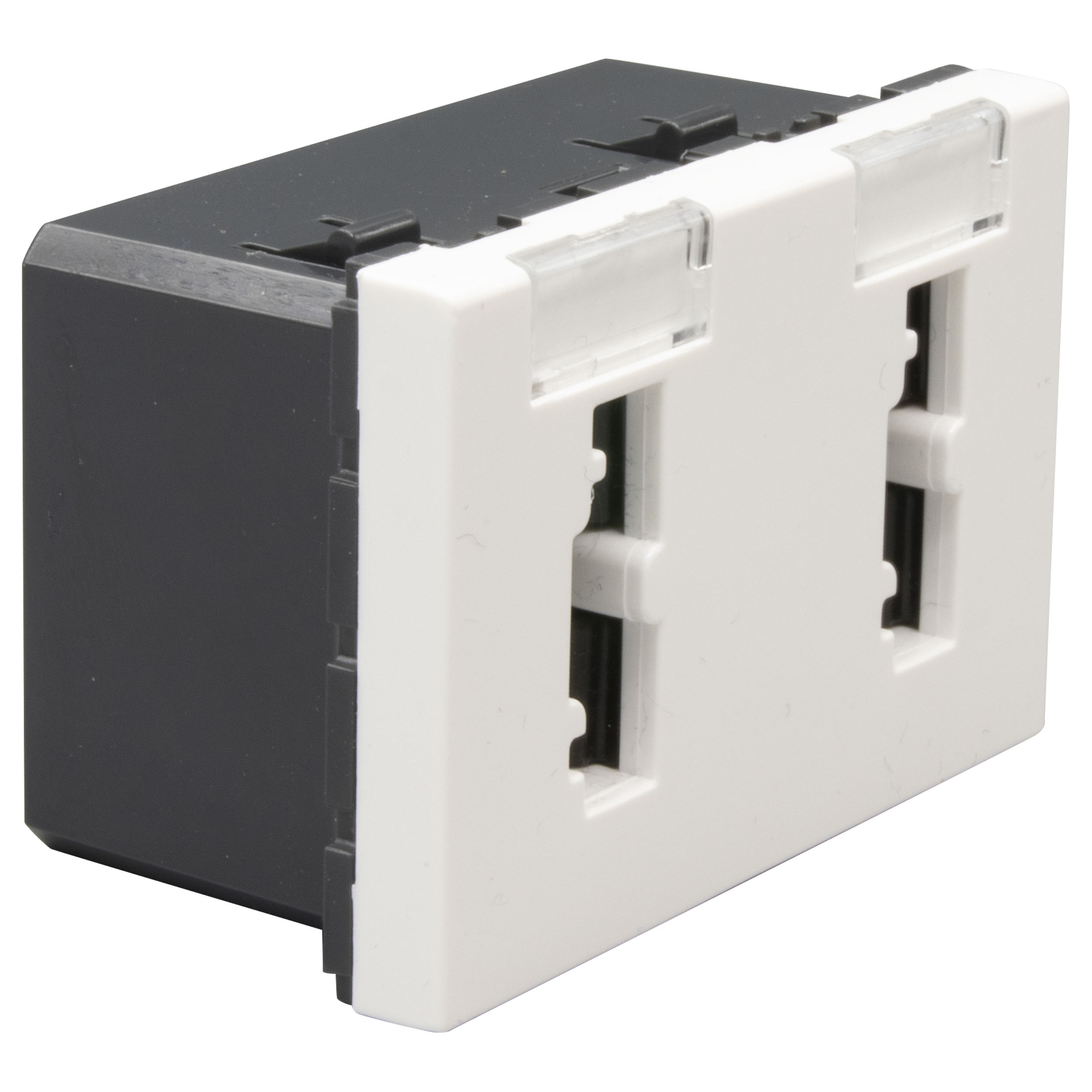 Toma precableada de seguridad doble (ancho 3 módulos) 2P+T, 10 y 16A ...