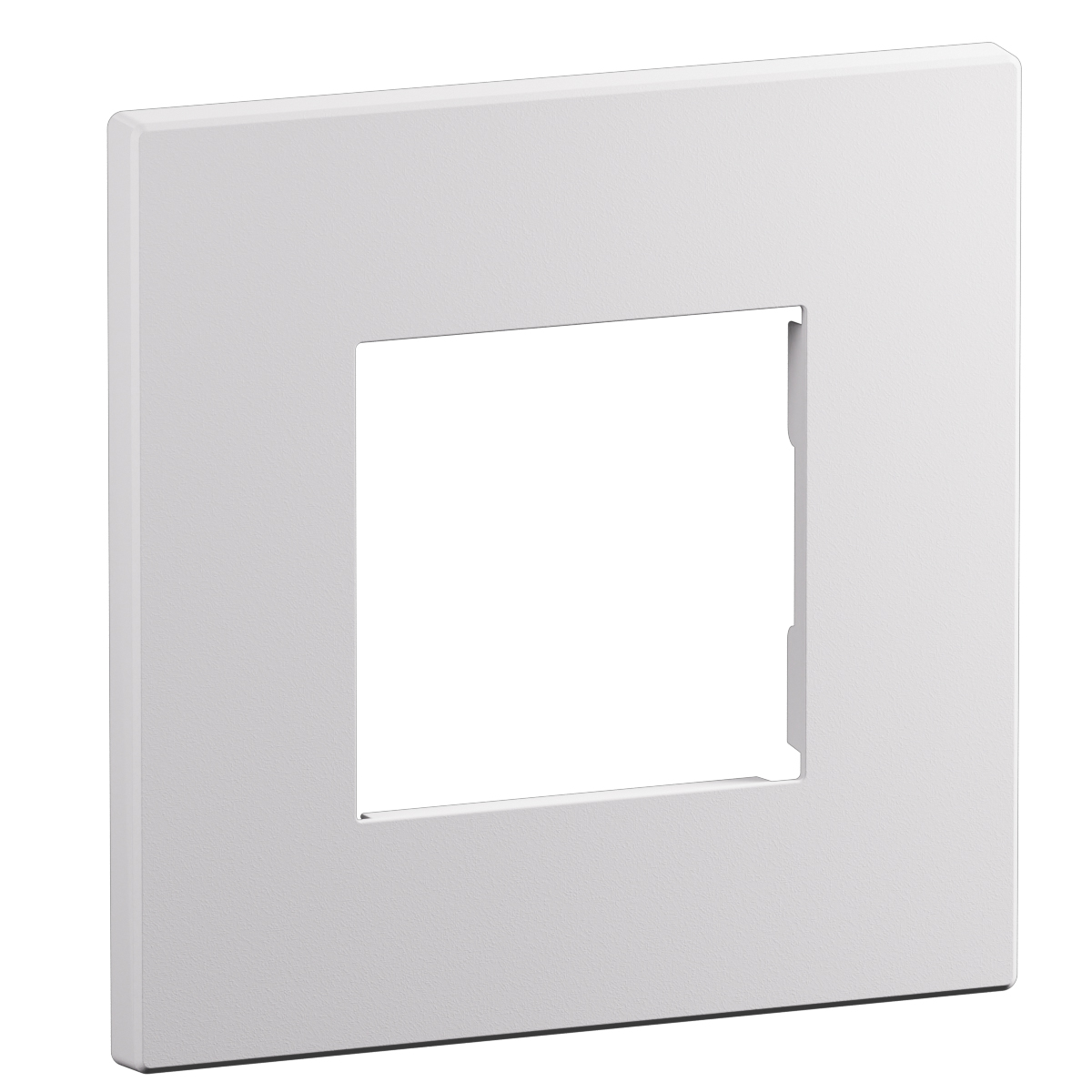 Arteor Advance - 1 gang 2 modules British Standard plate matt white ...
