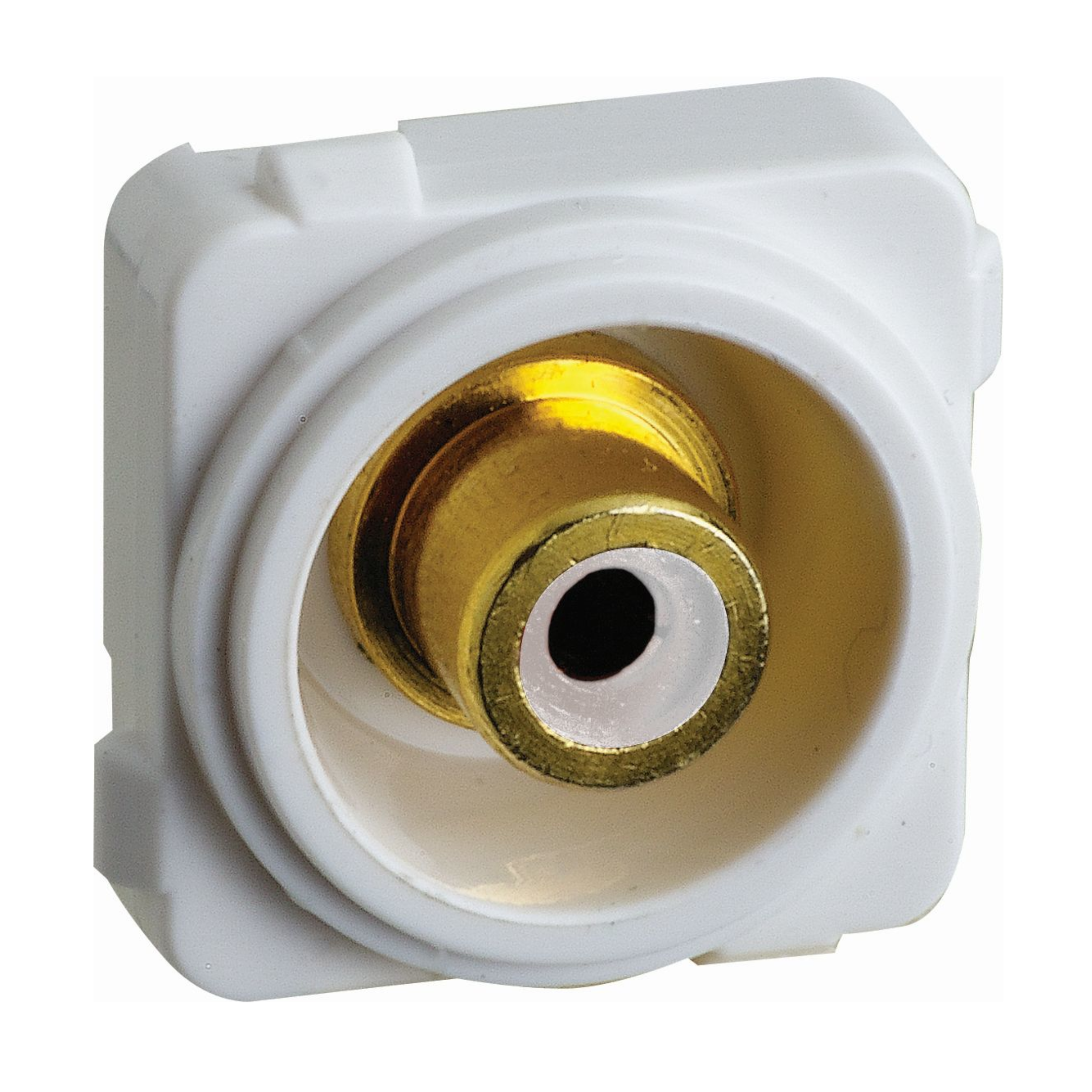 Excel Life White RCA Audio Outlet White | EMRCAWEWE | 9321001399919 ...
