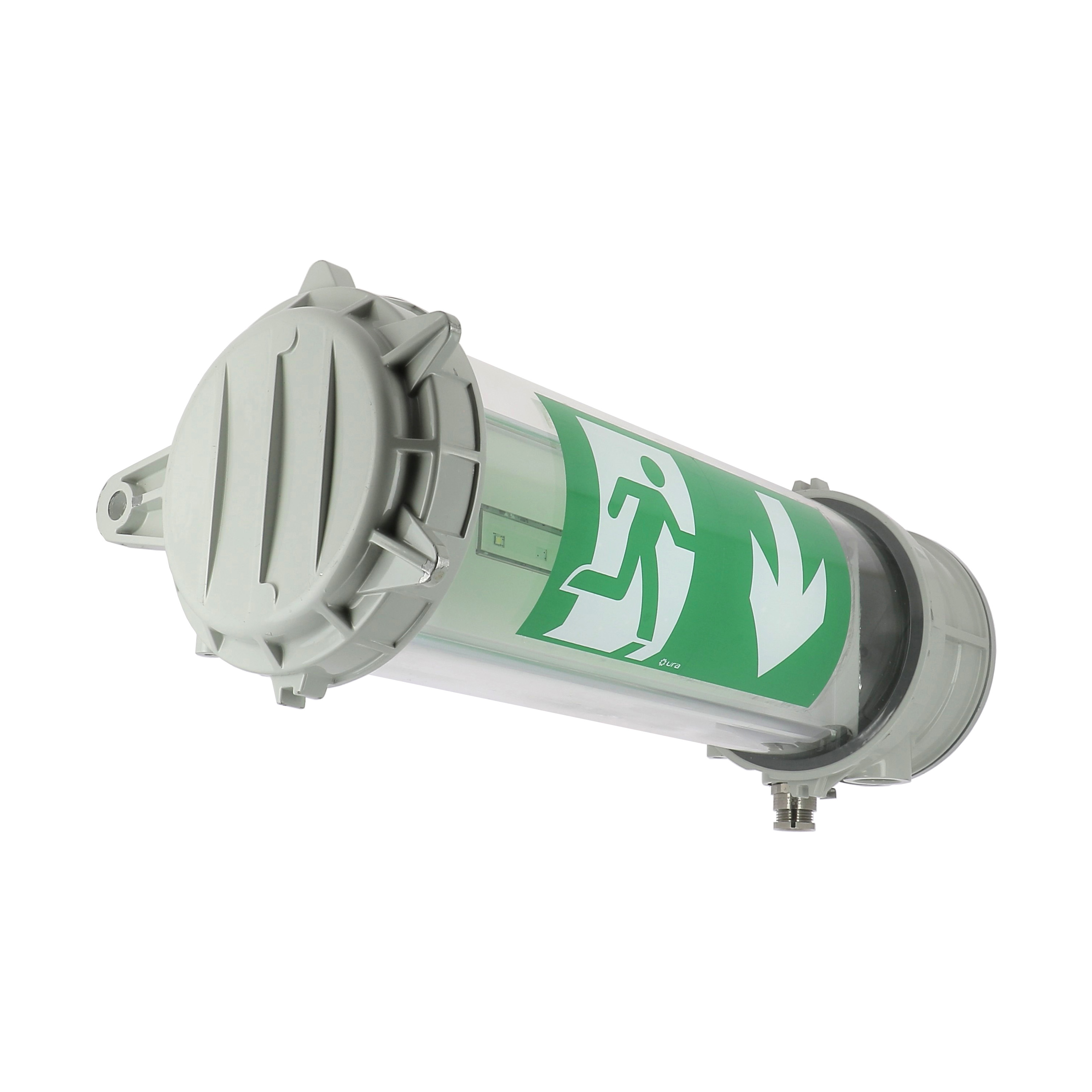 BAES d'évacuation antidéflagrant IP67 IK07 Adressable flux 100lm 1h ...